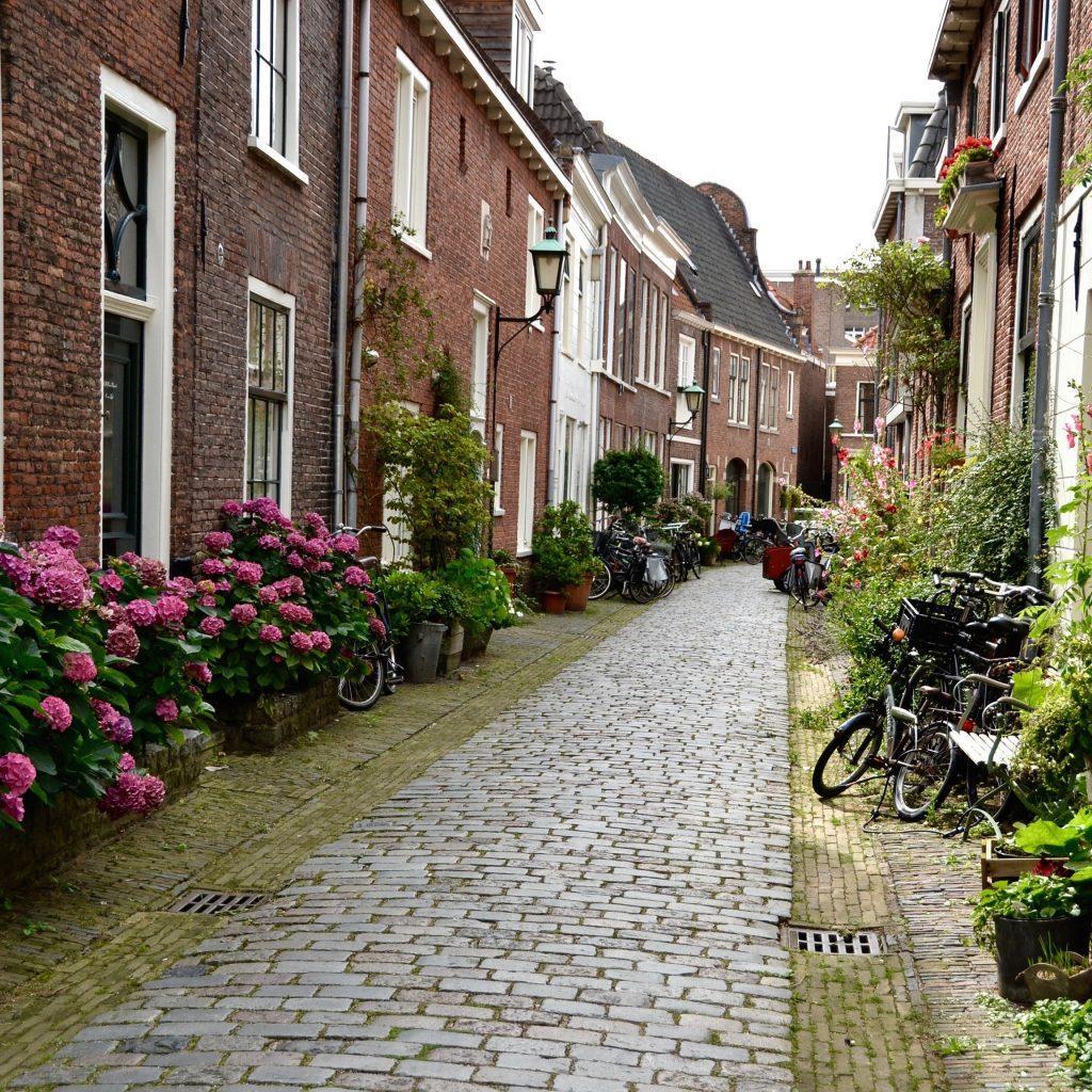 Haarlem: the secrets of its Golden Streets - Secret City Trails
