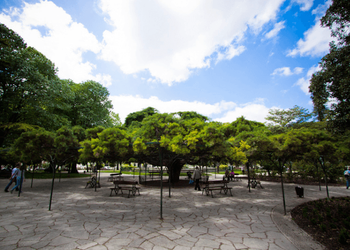 5 Best Parks and Green Spaces in Lisbon - Secret City Trails